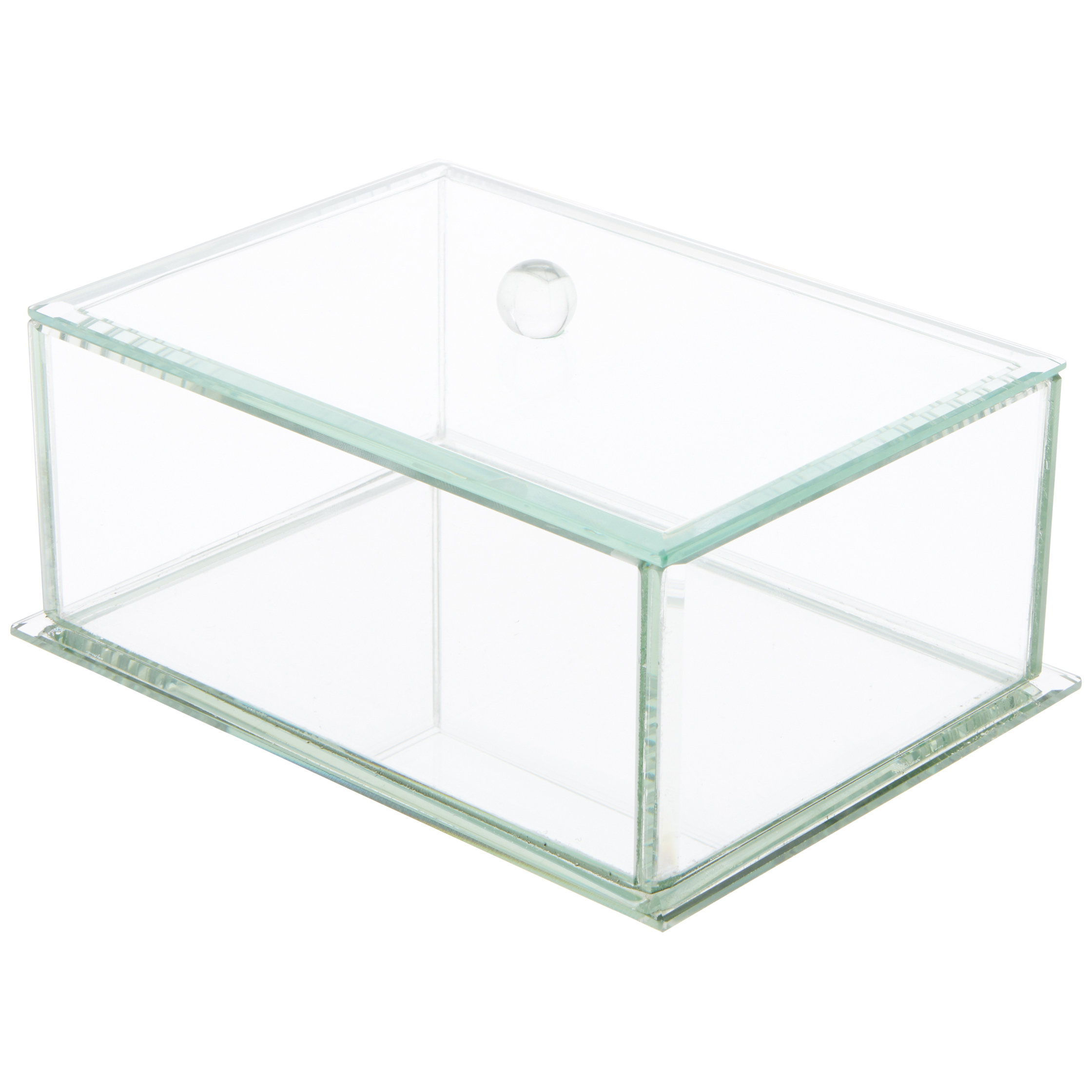 Brayden Studio® Latitude Run® Clear Beveled Glass Display Box for ...