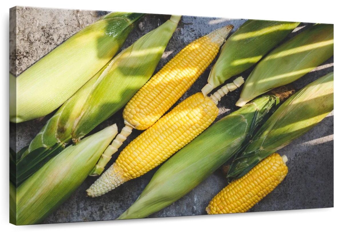 Lark Manor Harnek Fresh Corn - Wayfair Canada