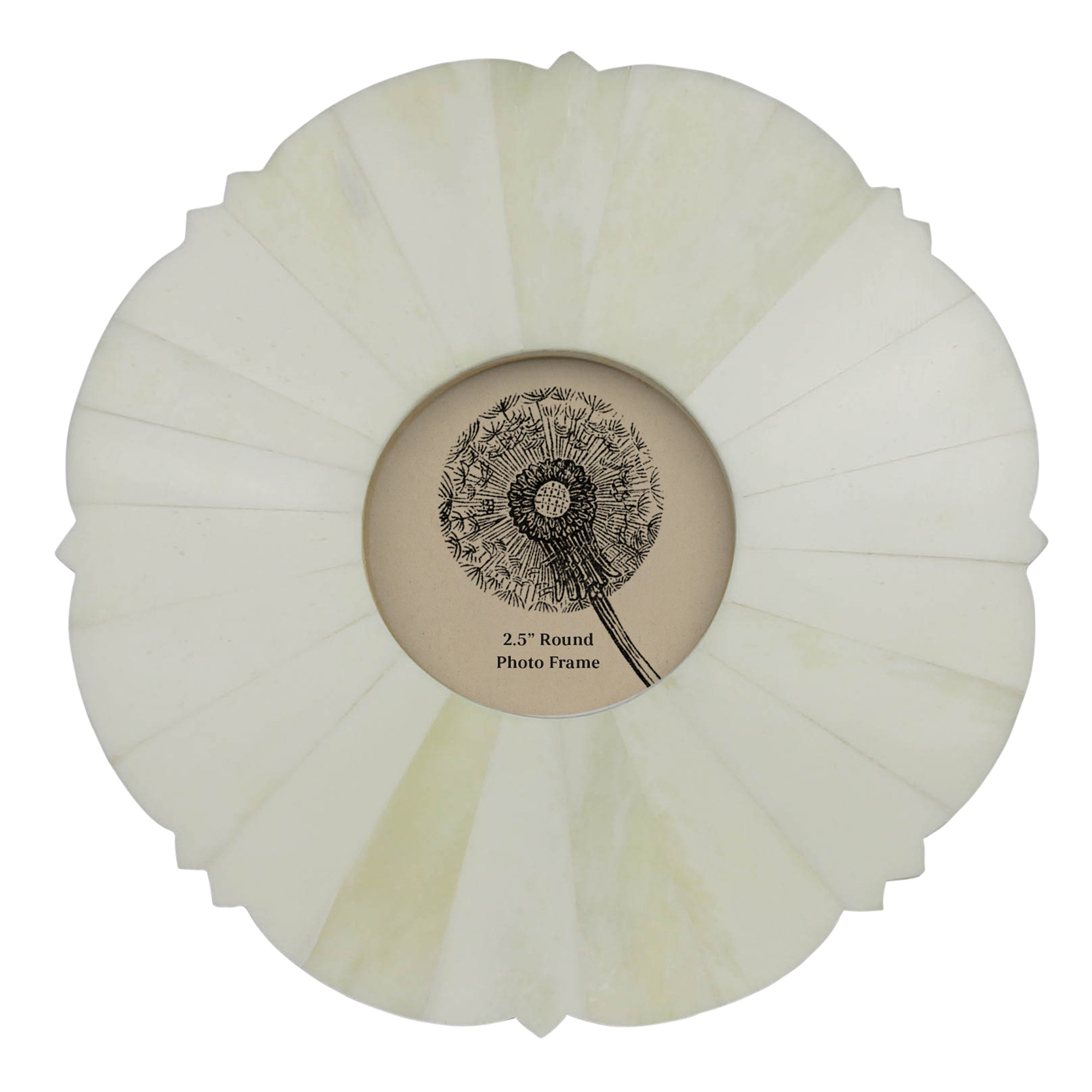 Red Barrel Studio® Bone Frame - 2.5” | Wayfair