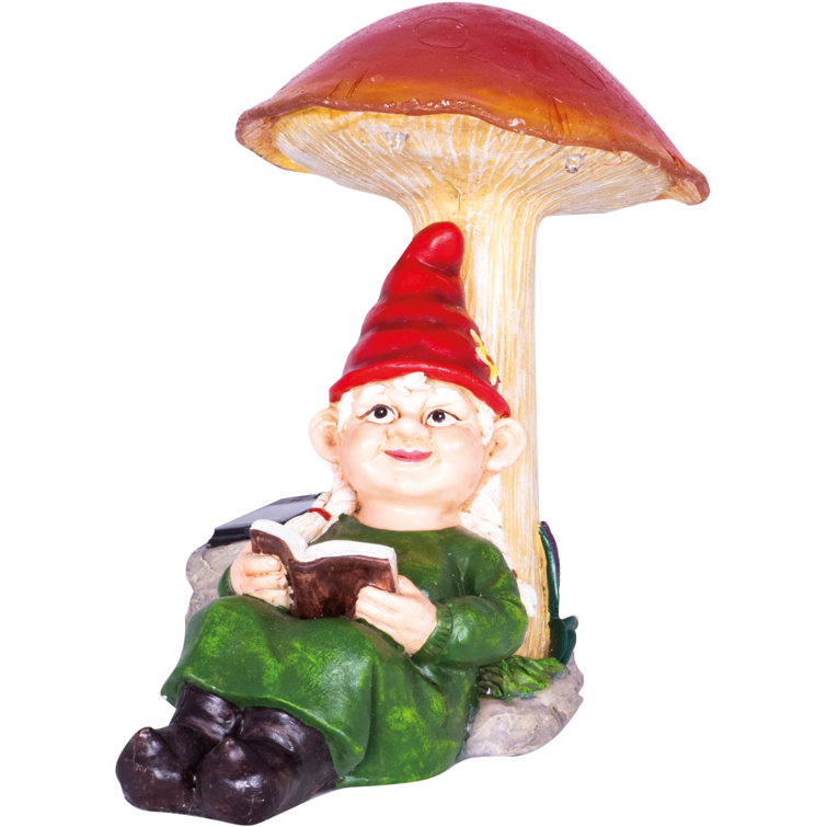 Happy Larry Gnomette Solar Knome Garden Ornament | Wayfair.co.uk