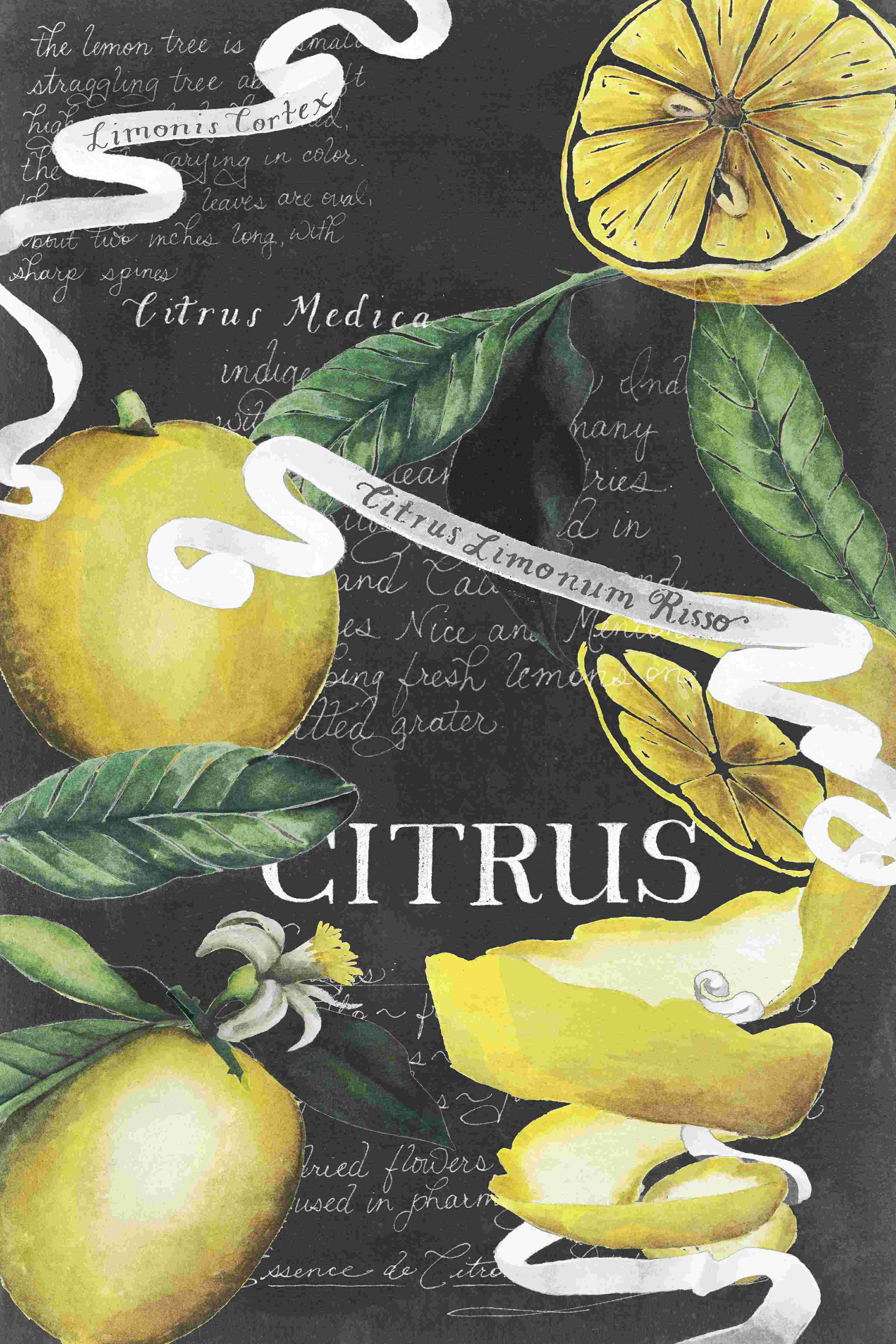 Rosalind Wheeler Chalkboard Citrus II - Wayfair Canada