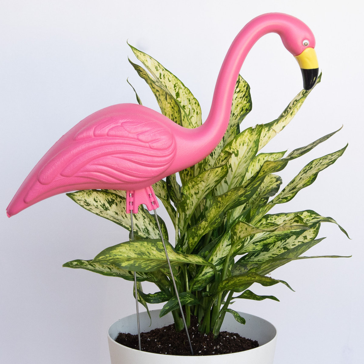 Bloem Plastic Indoor/Outdoor Pink Flamingo Yard Decorations with Metal ...