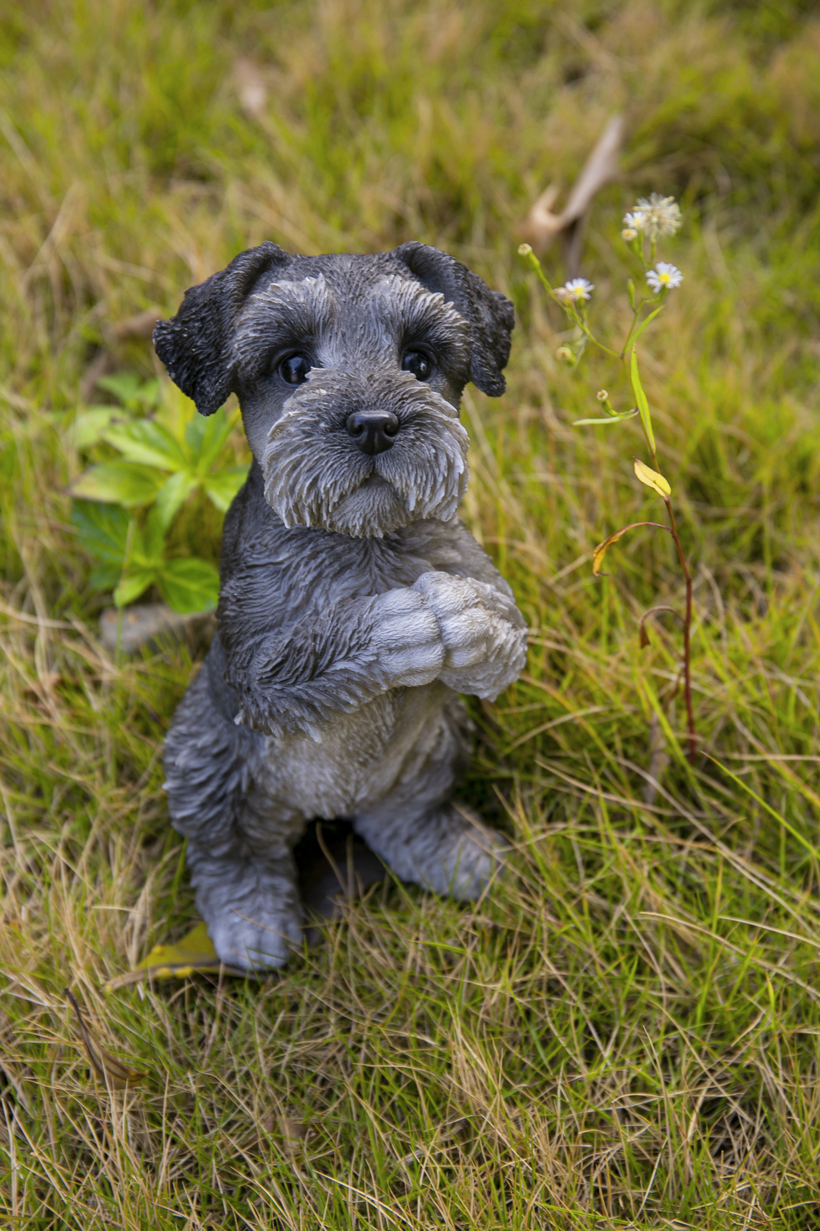 Hi-Line Gift Ltd. Schnauzer Puppy Praying & Reviews | Wayfair