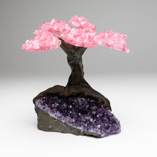 Astro Gallery of Gems Large Amethyst Clustered Gemstone Tree on ...