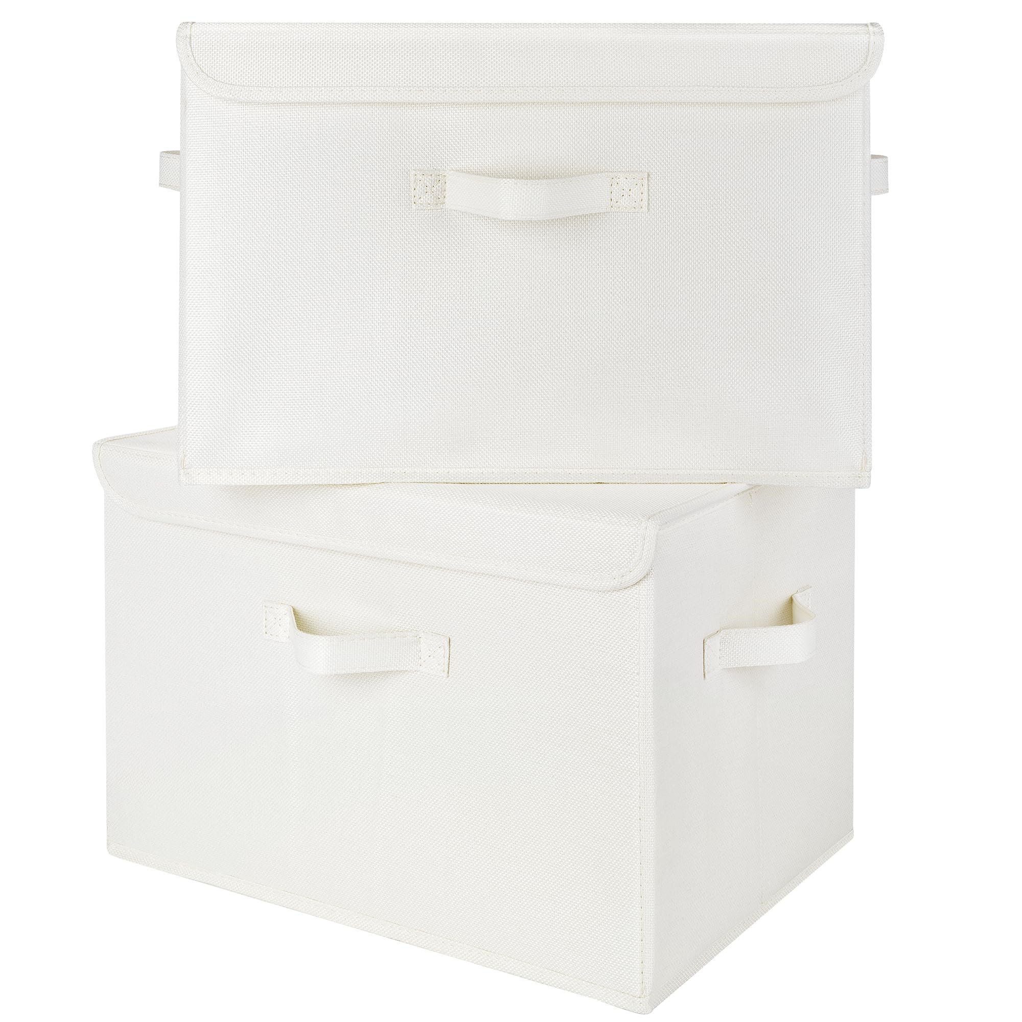Hokku Designs Large Storage Bins with Lids Set of 2 | Wayfair