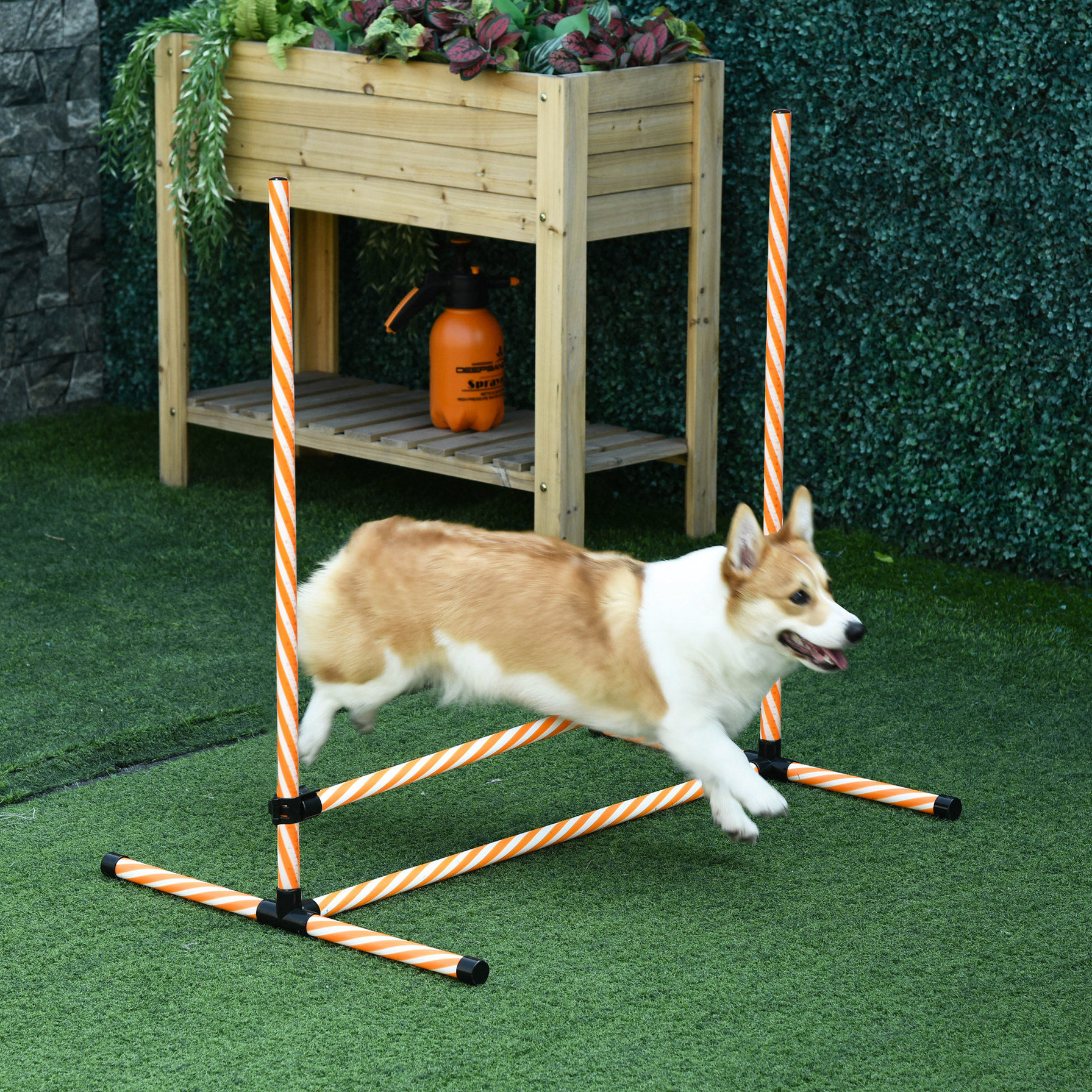 Orren Ellis 6 Dog Agility Training Apparatus. Orange & White ...
