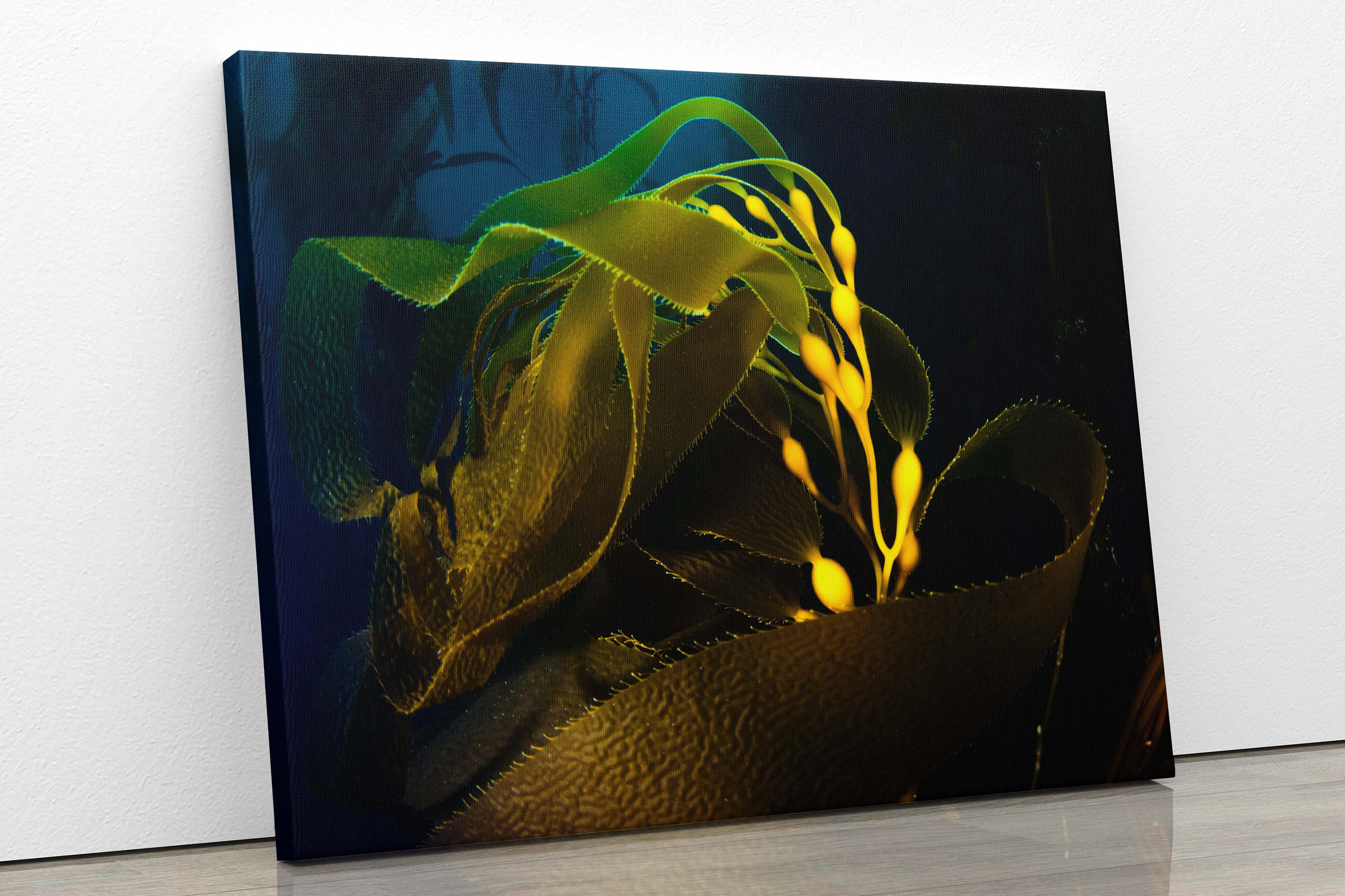 See Life Inspiration Giant Kelp Underwater Photograph by Jamie Lee ...