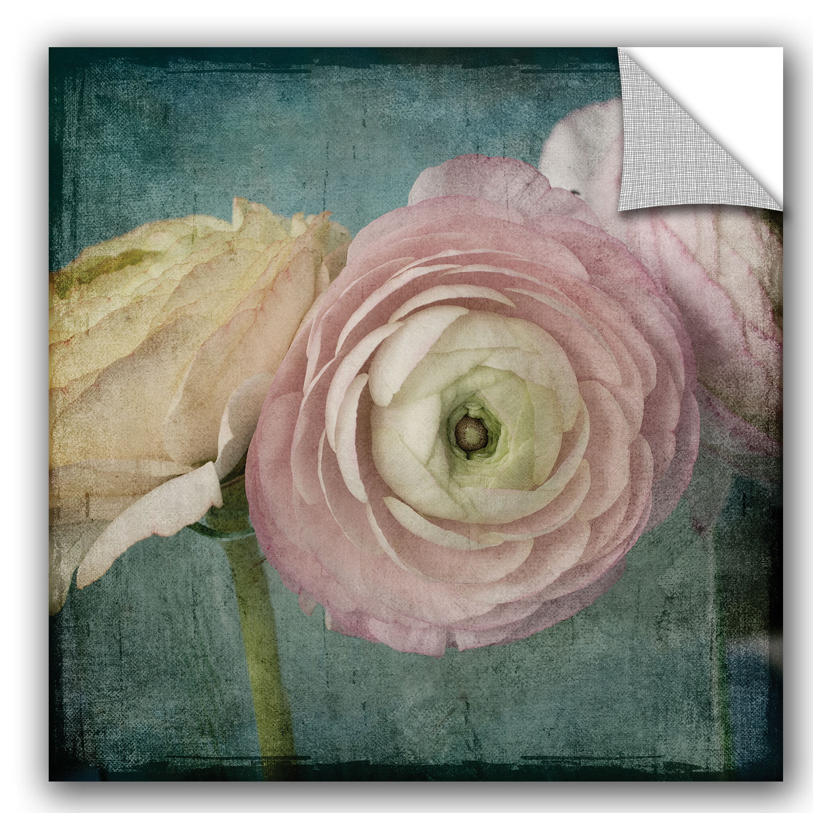 Lark Manor Akeema Pink Ranunculus 7 Removable Wall Decal - Wayfair Canada