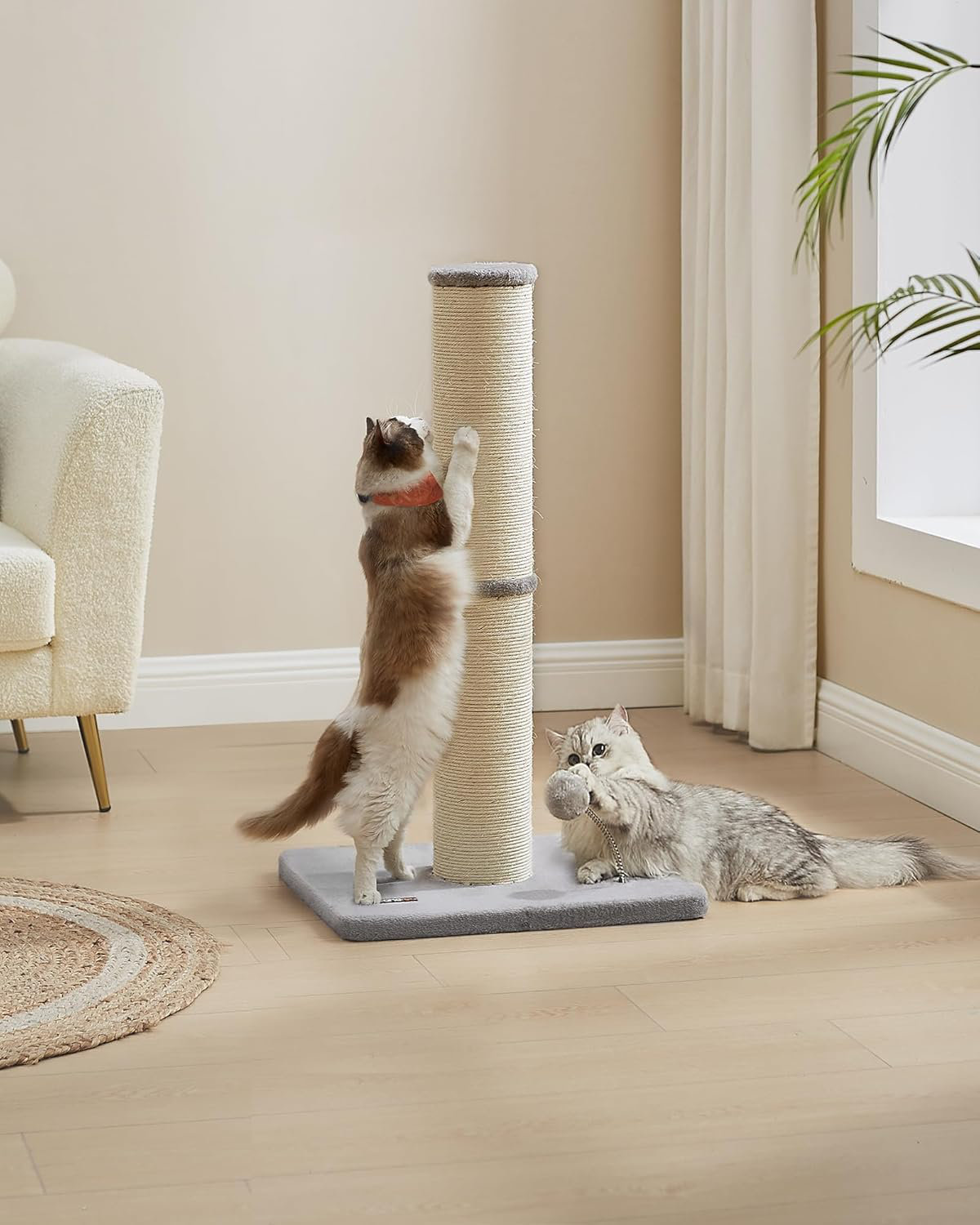 Archie & Oscar Cat Scratching Post, 85 Cm Tall Cat Scratcher For Medium ...