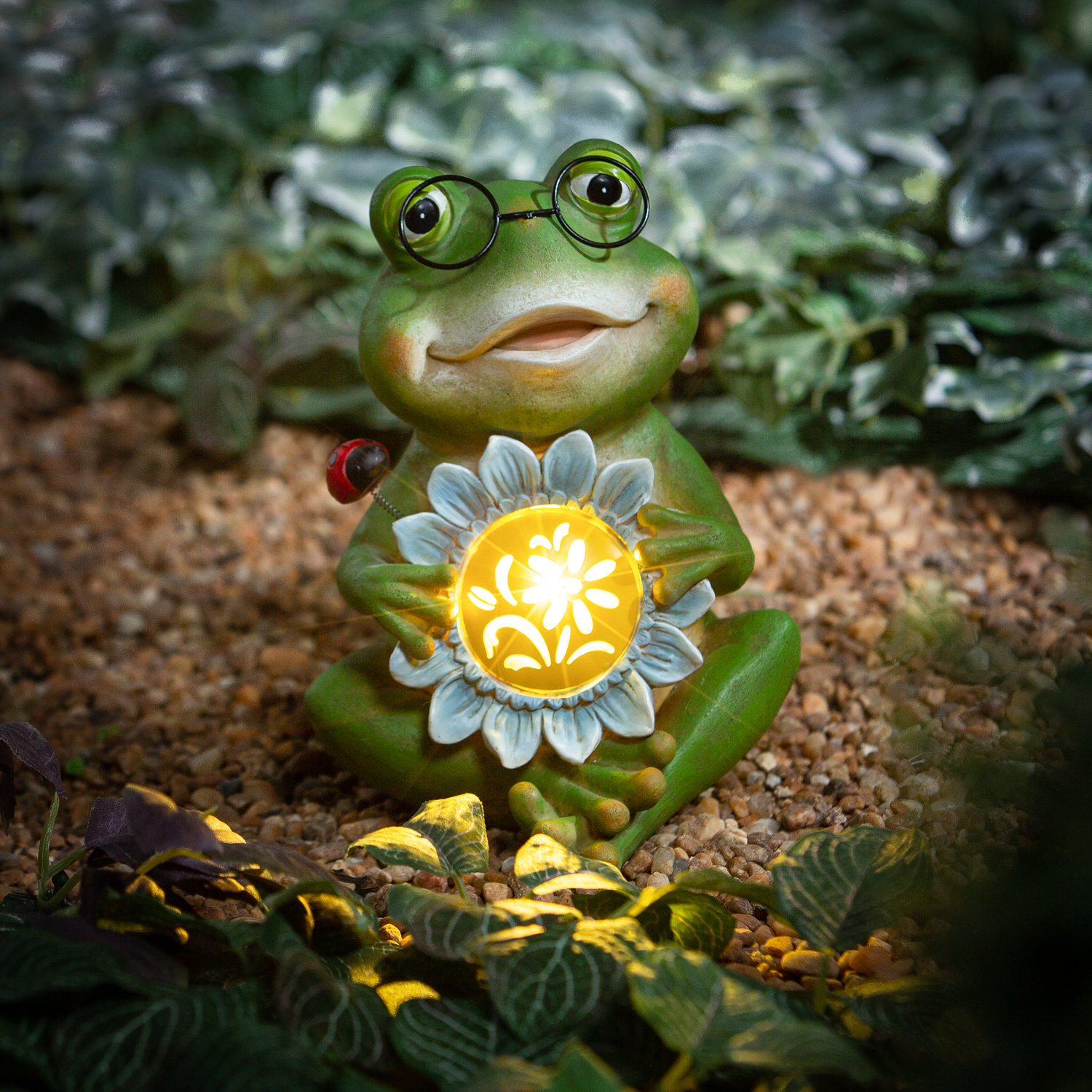 Trinx Jhavori Solar Frog with Glasses Garden Statue - Wayfair Canada