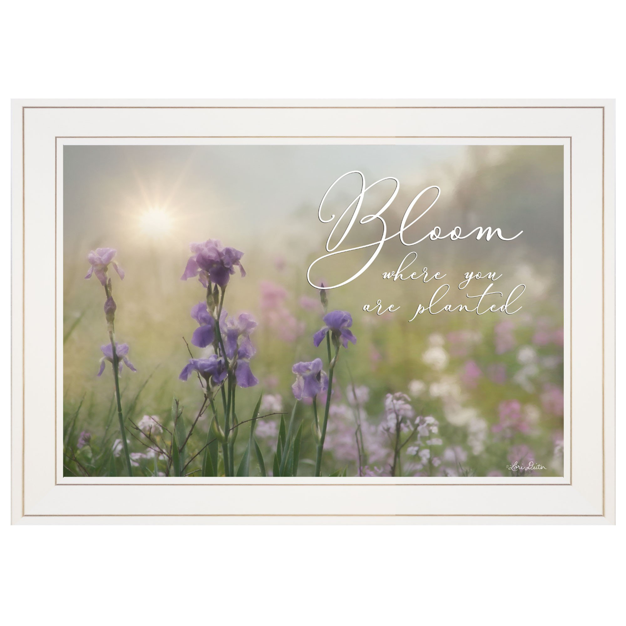 Latitude Run® Bloom Where You Are Planted 1 Framed Print Wall Art | Wayfair