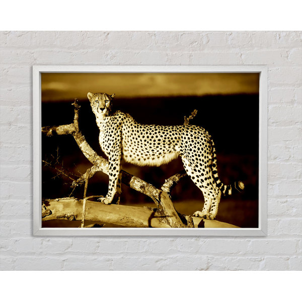 Bright Star Leopard Perch Sepia - Single Picture Frame Print on Canvas ...