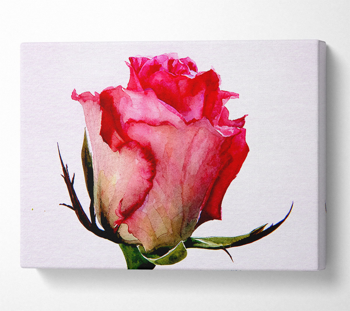 ClassicLiving Single Pink Rose - Print | Wayfair.co.uk
