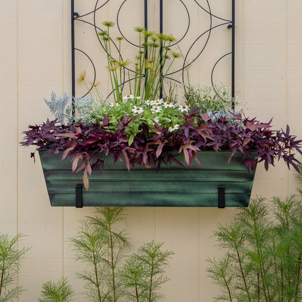 Gracie Oaks Paxtonia Galvanized Steel Window Box Planter & Reviews ...