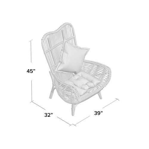 Ibolili Round Back Rattan Chair & Reviews | Wayfair