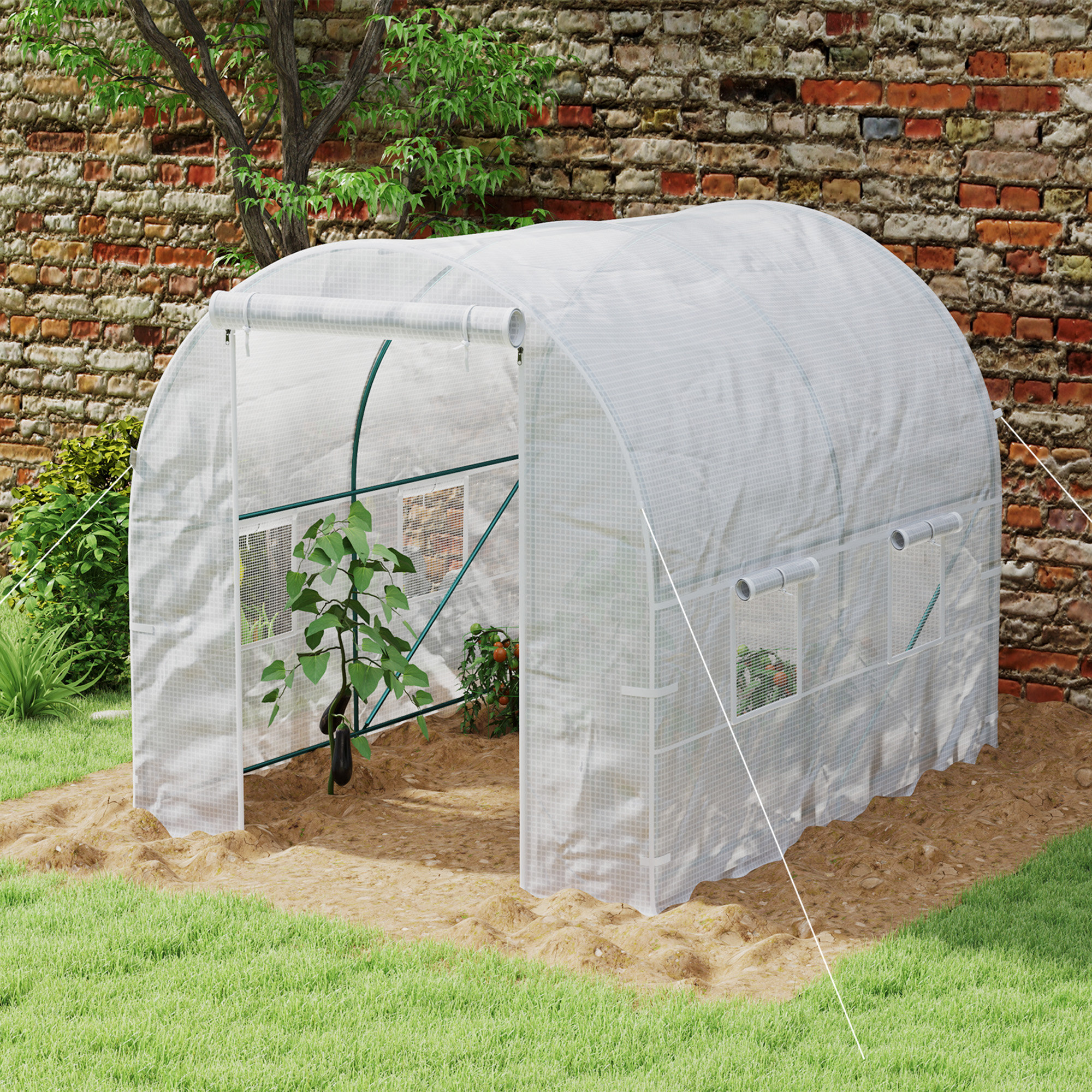 NFusion Nolyn Traditional Polytunnel Greenhouse With Steel Frame And ...