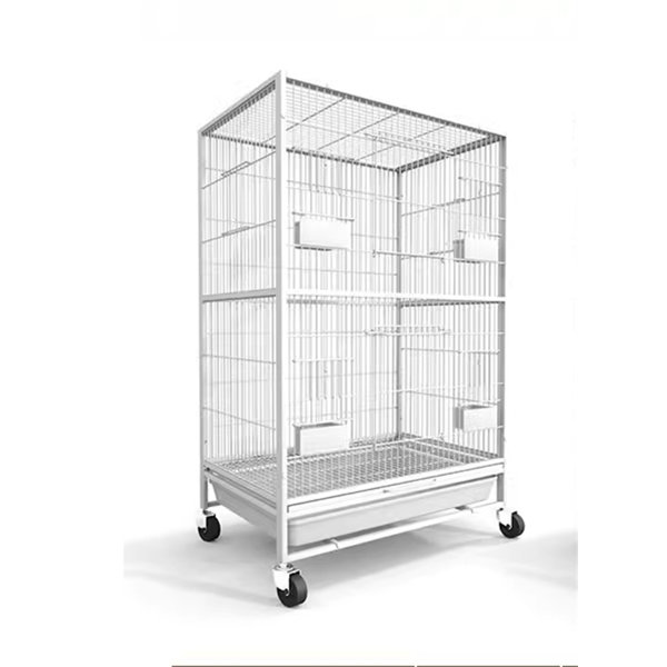 Bird Cages You'll Love - Wayfair Canada