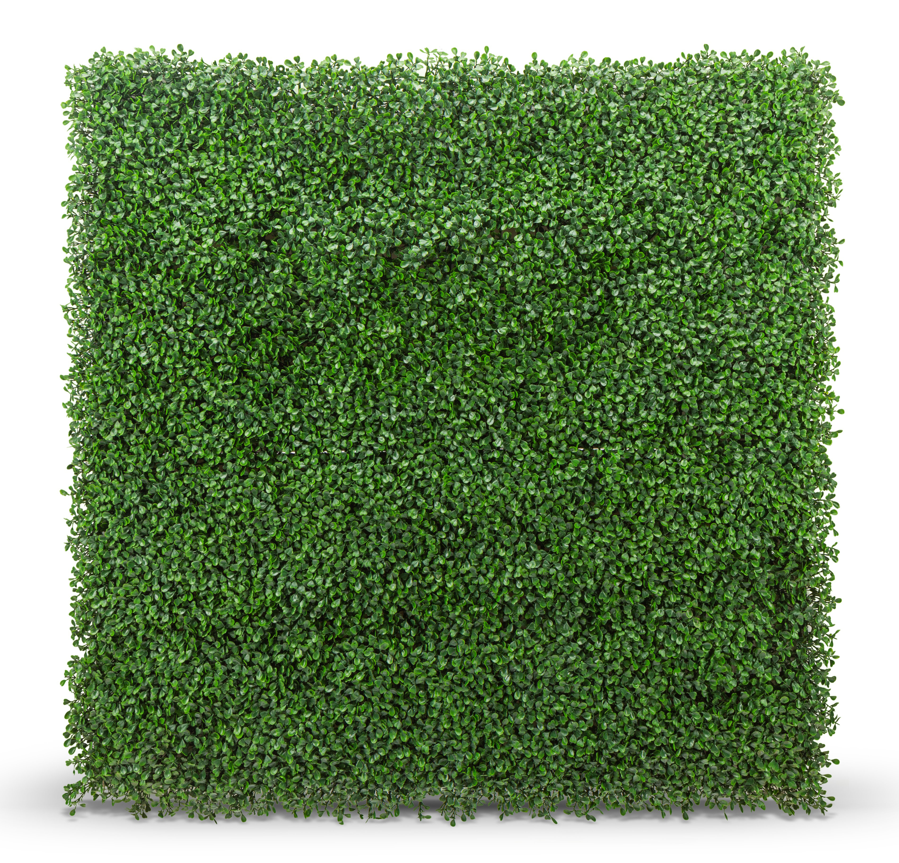 Naturae Decor 2 ft. H x 2 ft. W Polyethylene Privacy Screen - Wayfair ...
