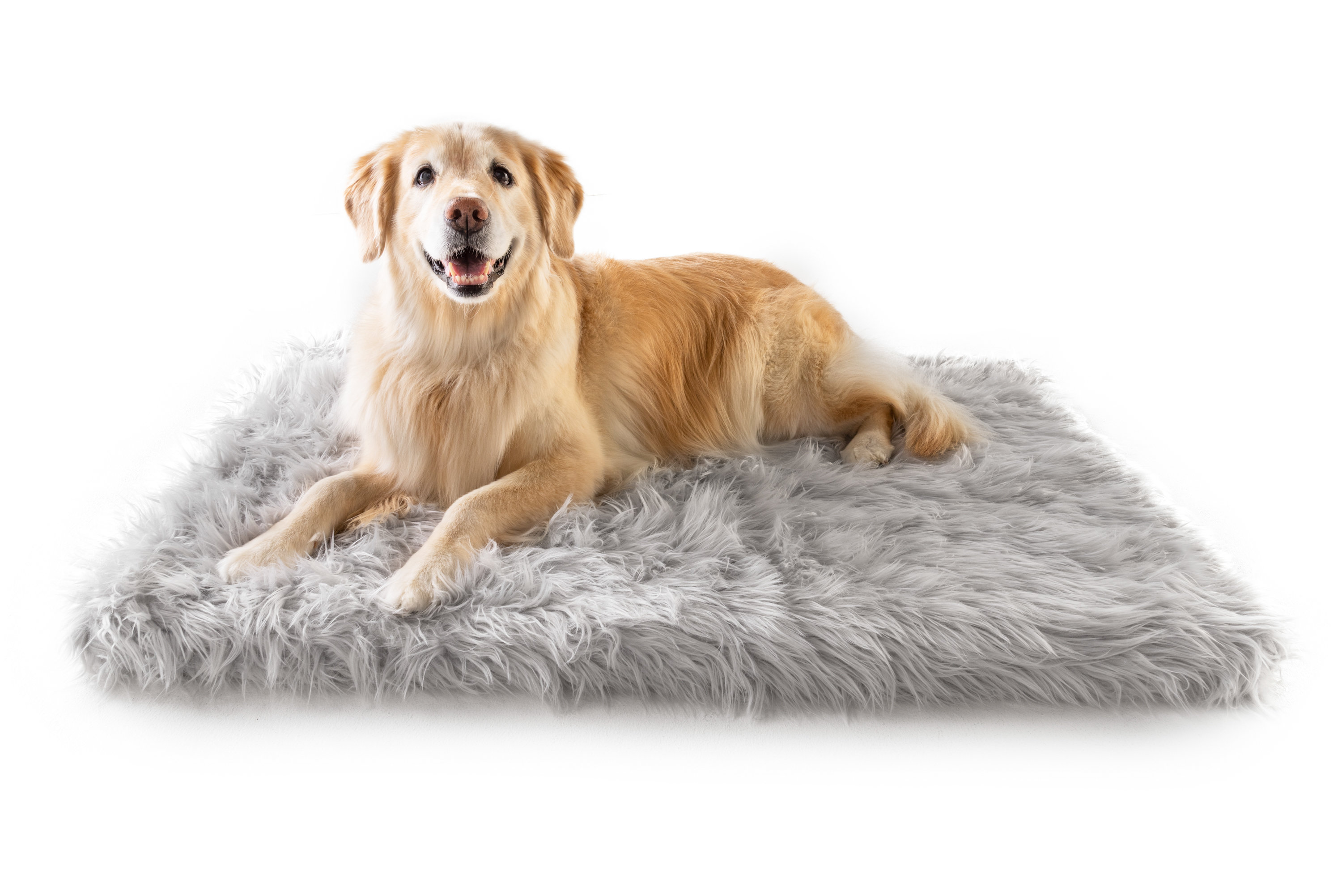 Paw Brands Puprug Runner Faux Fur Memory Foam Dog Mat & Reviews | Wayfair