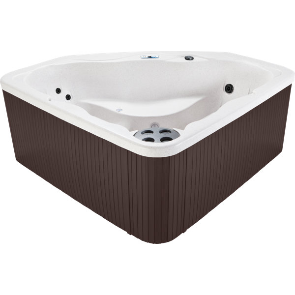 Lifesmart Spas LS300 Plus 110 Volt 2-Person 17-Jet Plug and Play Hot ...
