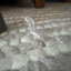 Wade Logan® Charvik Indoor Rug & Reviews - Wayfair Canada