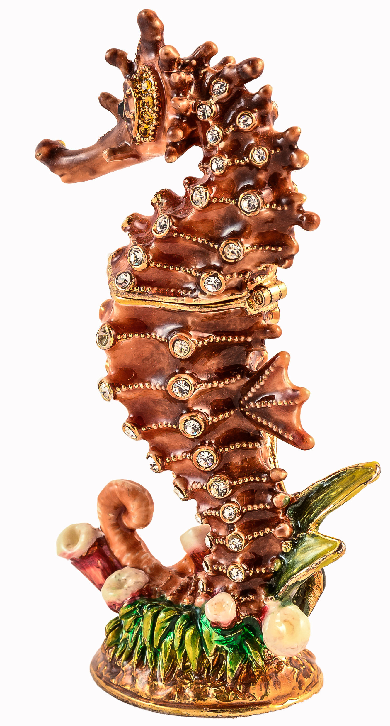 Ciel Collectables Seahorse Trinket Box | Wayfair