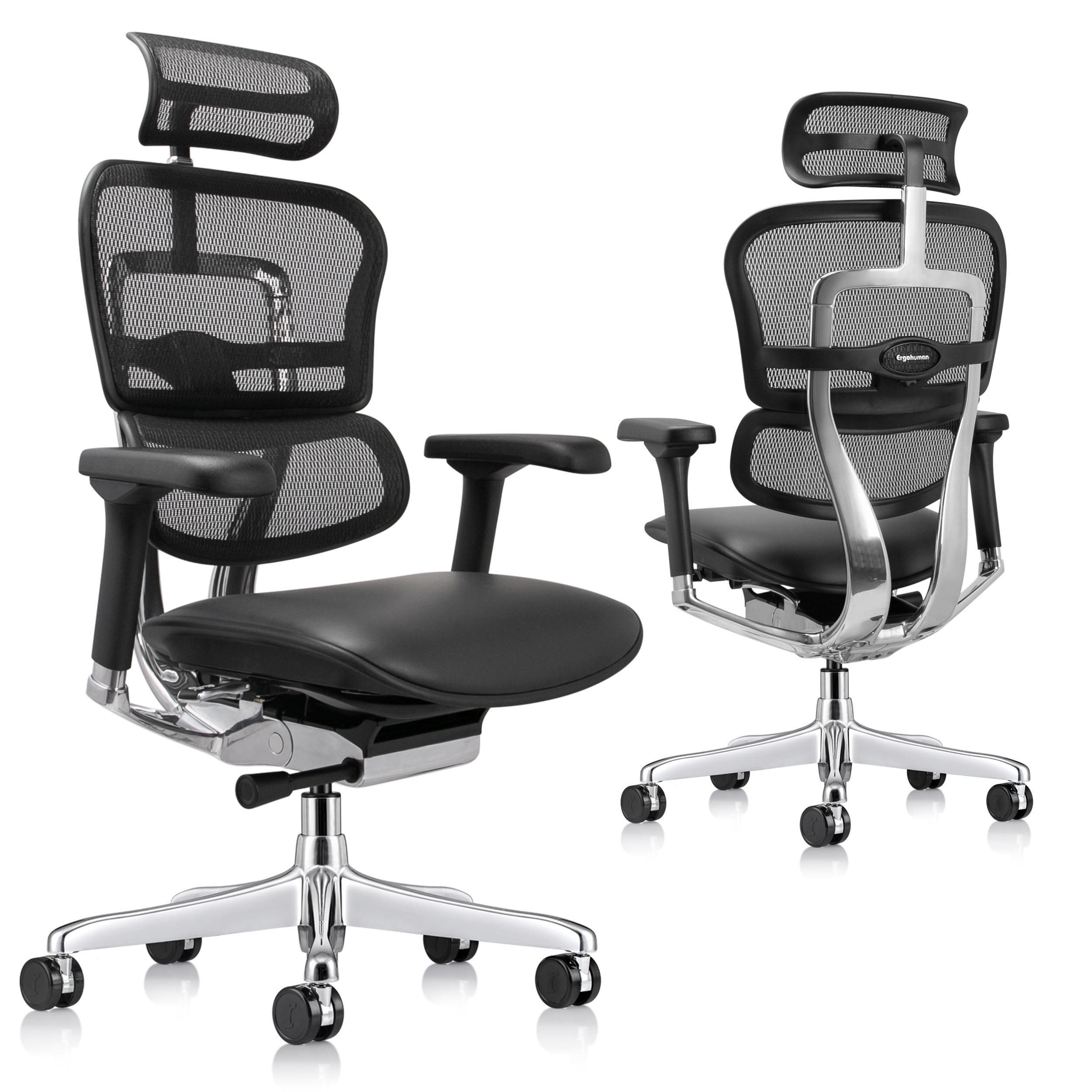 Eurotech Seating Ergohuman Genuine Leather Task Chair & Reviews | Wayfair