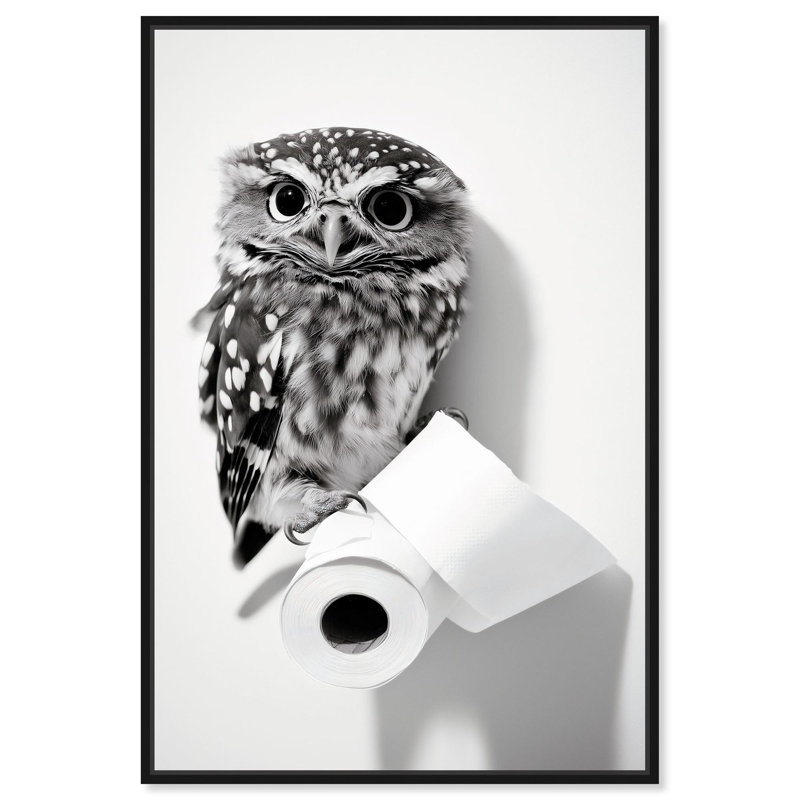 owl bathrooms