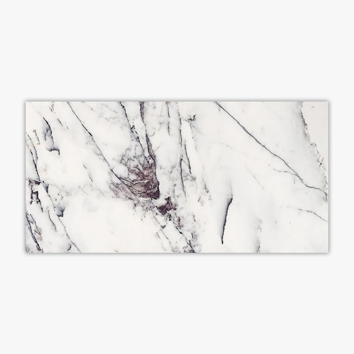 Direct Stone Source 12" x 24" Marble Look Wall & Floor Tile | Perigold
