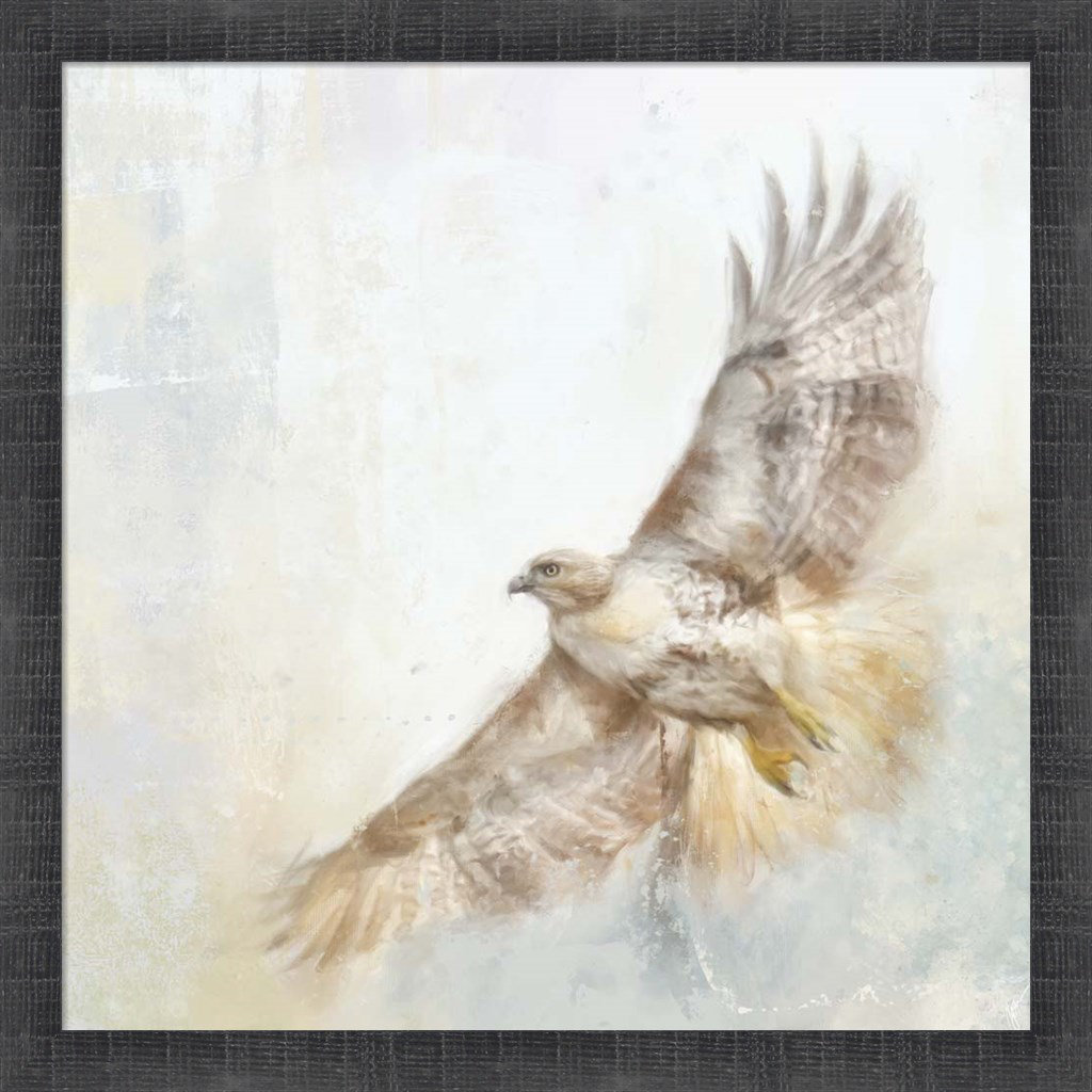Loon Peak® Angel Hawk By Jai Johnson, Framed Wall Art | Wayfair