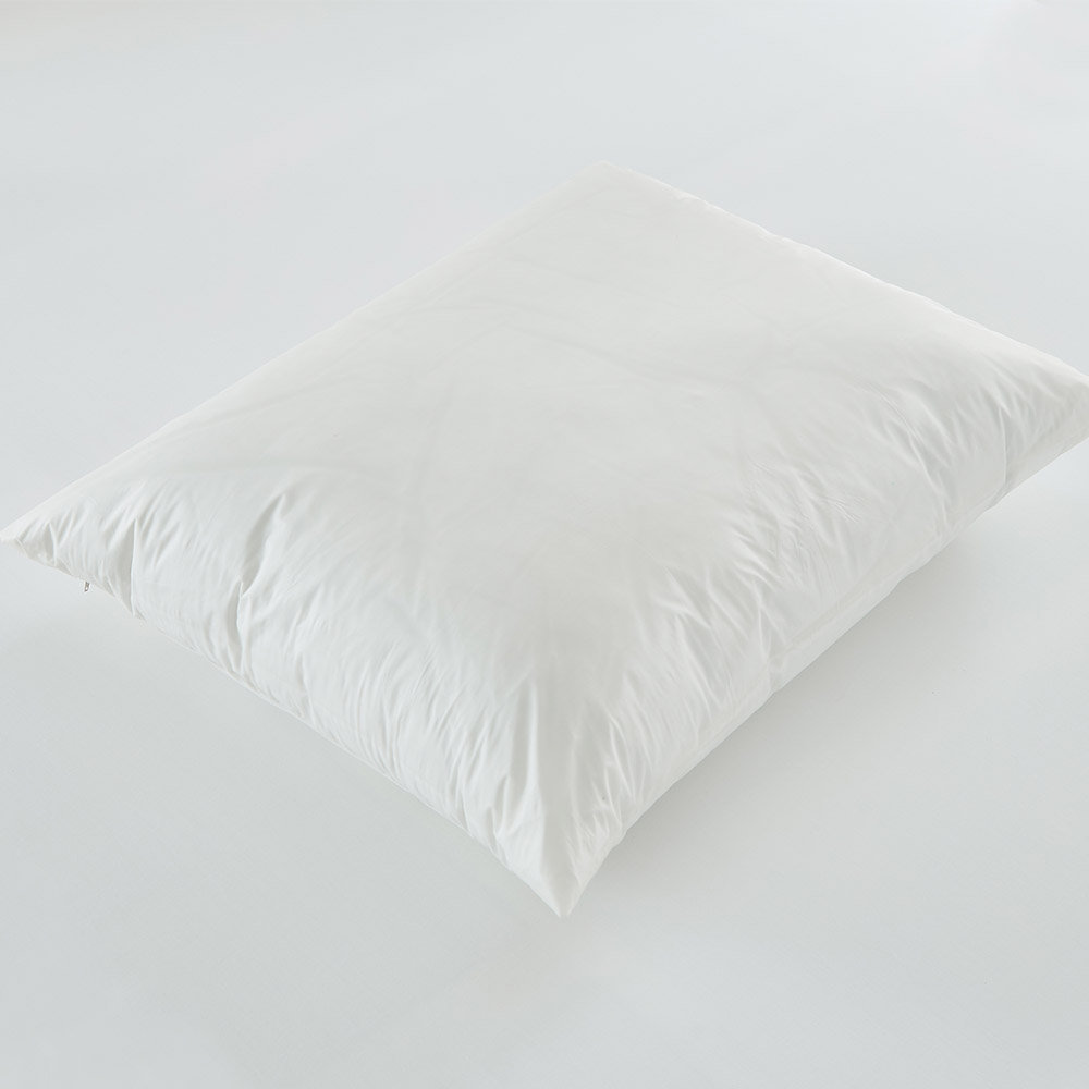 Bargoose Home Textiles 6 Gauge Vinyl Pillow Protector & Reviews | Wayfair