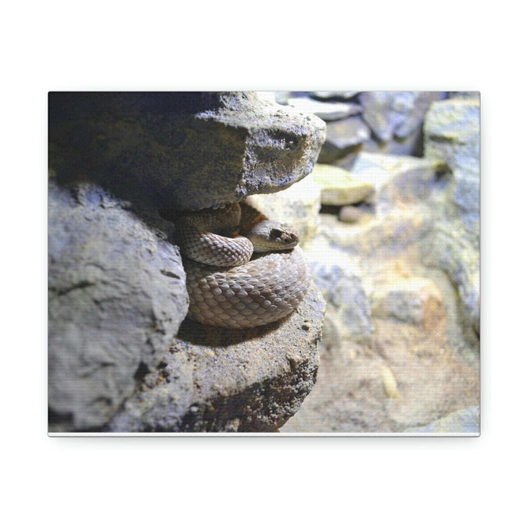 Loon Peak® " Snake Stretched " | Wayfair