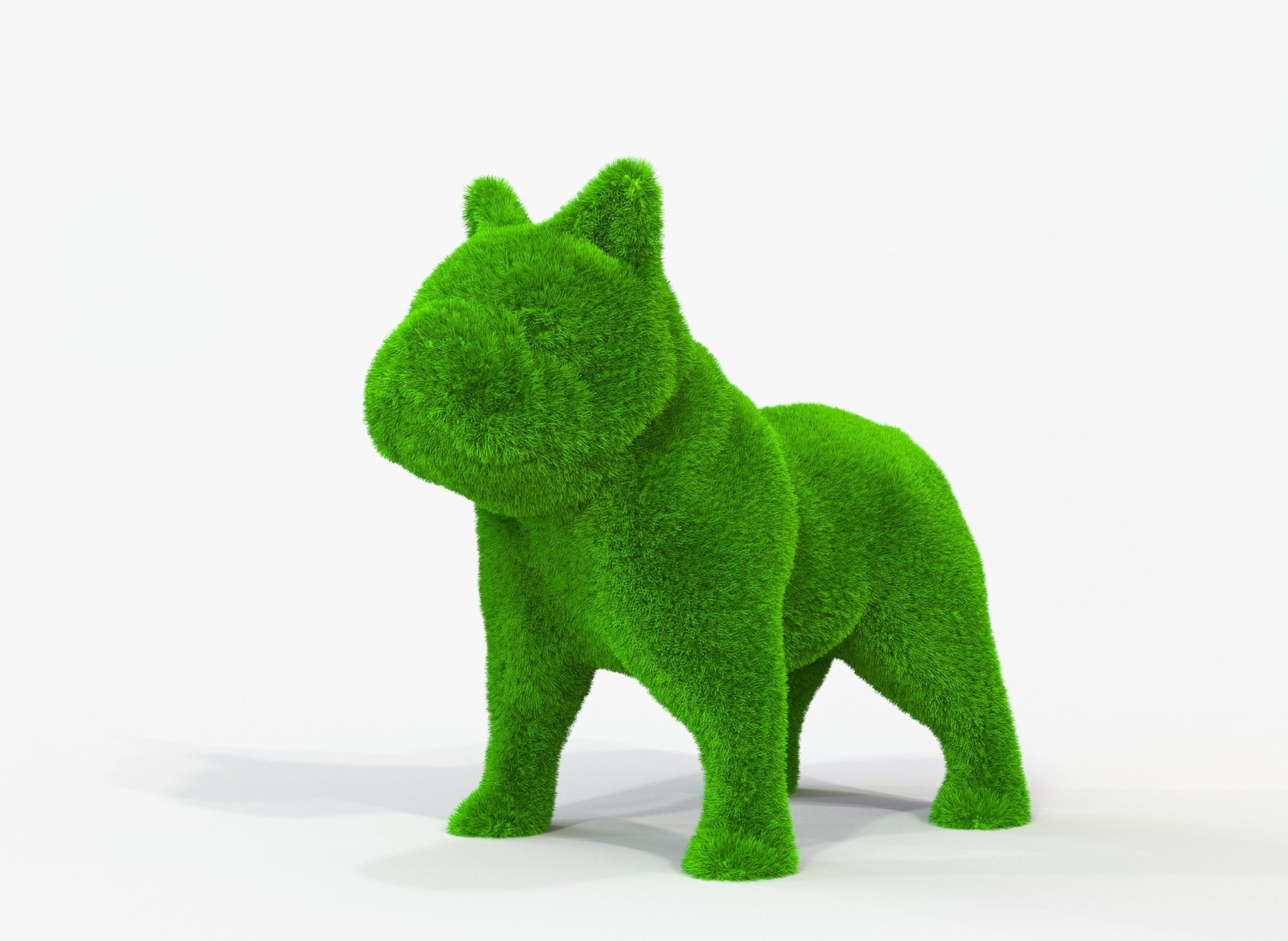 Decor Factory Studio Outdoor Giant French Bulldog Topiary Green Figures ...