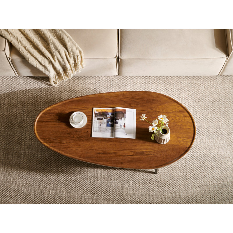 Ivy Bronx Saint Mossi Modern Coffee Table For Living Room, Mid-century ...