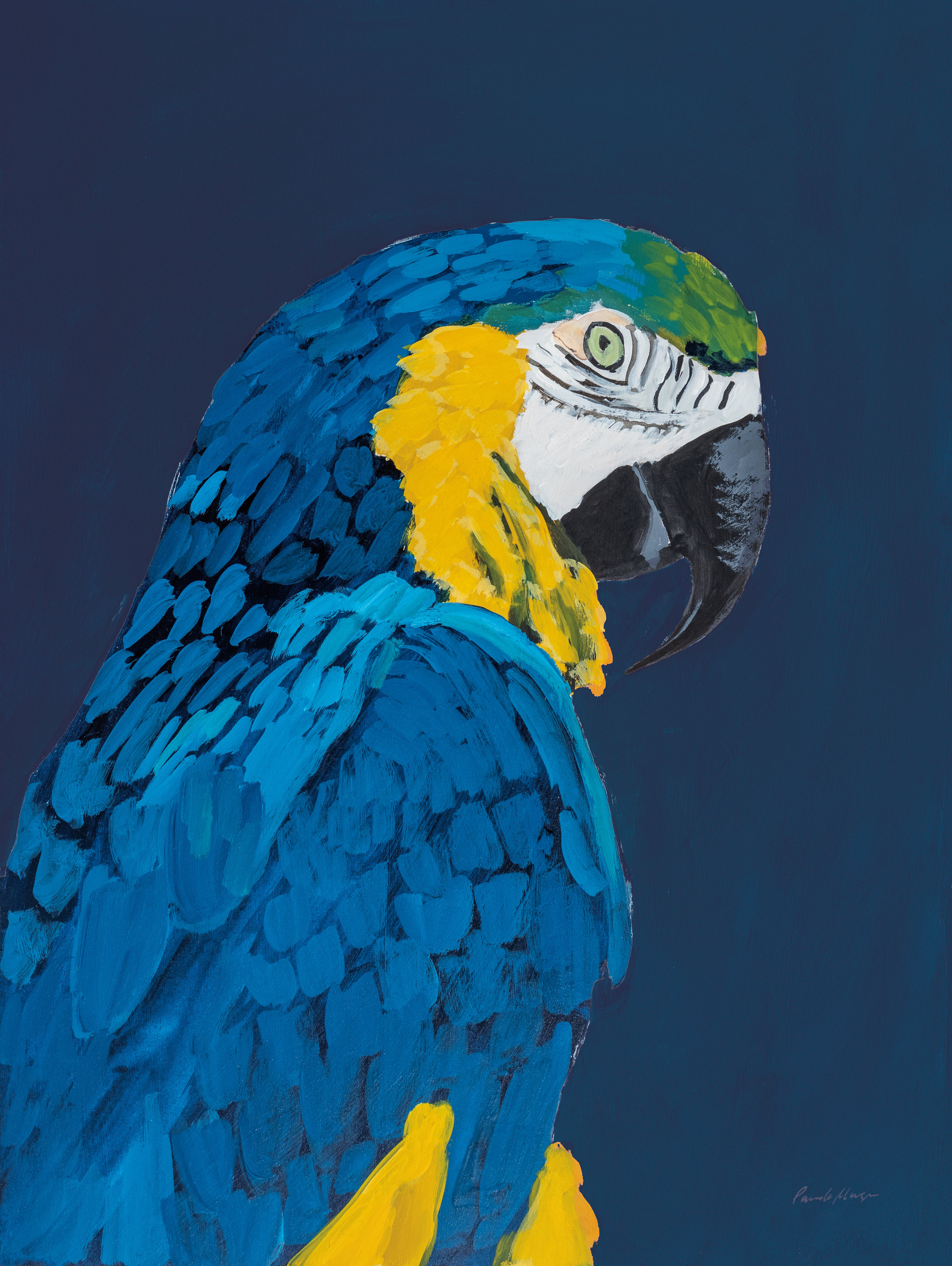 Winston Porter Blue and Gold Macaw - Print - Wayfair Canada