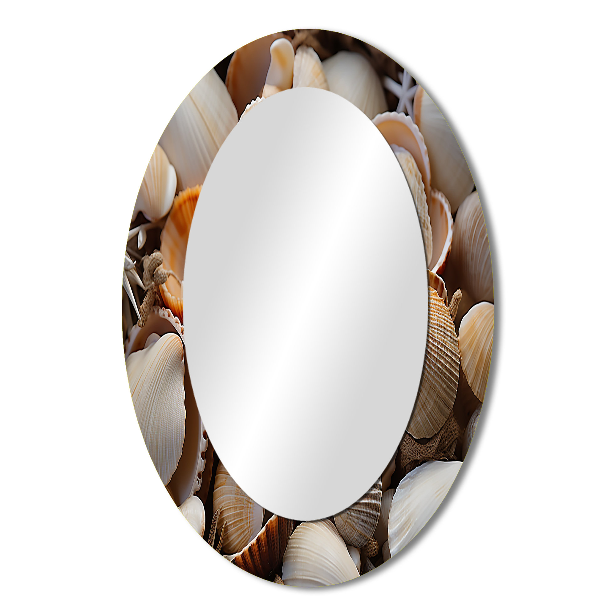 Dovecove Beach Photo Seashell Symphony IX - White Coastal Oval Wall ...