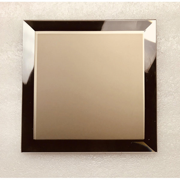 Abolos Frosted Reflections 8 in. x 8 in. Matte Glass Mirror Beveled ...