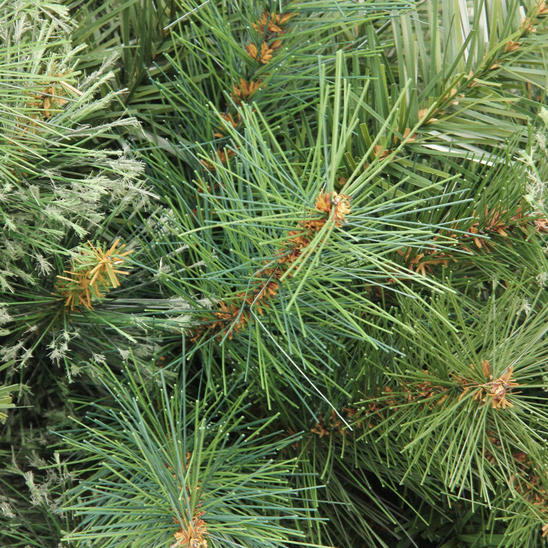 Northlight Seasonal 6.5' Medium Mixed Cashmere Pine Artificial ...