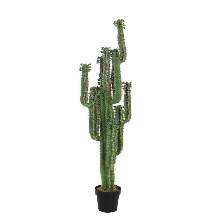 Gracie Oaks 150cm Cactus Topiary in Pot | Wayfair.co.uk