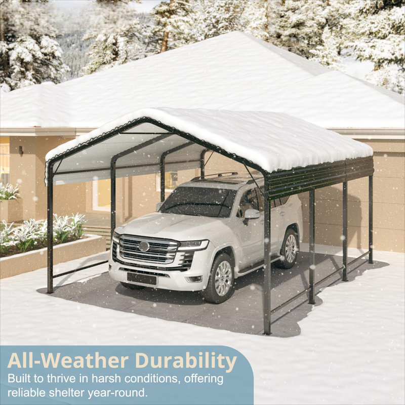 Polar Aurora 10 ft. W x 15 ft. D Metal Carport, Car Canopy and Shelter ...