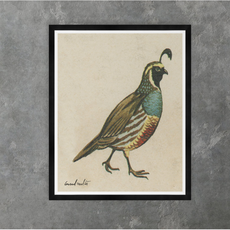 TK Home Quail Framed On Paper Print | Wayfair