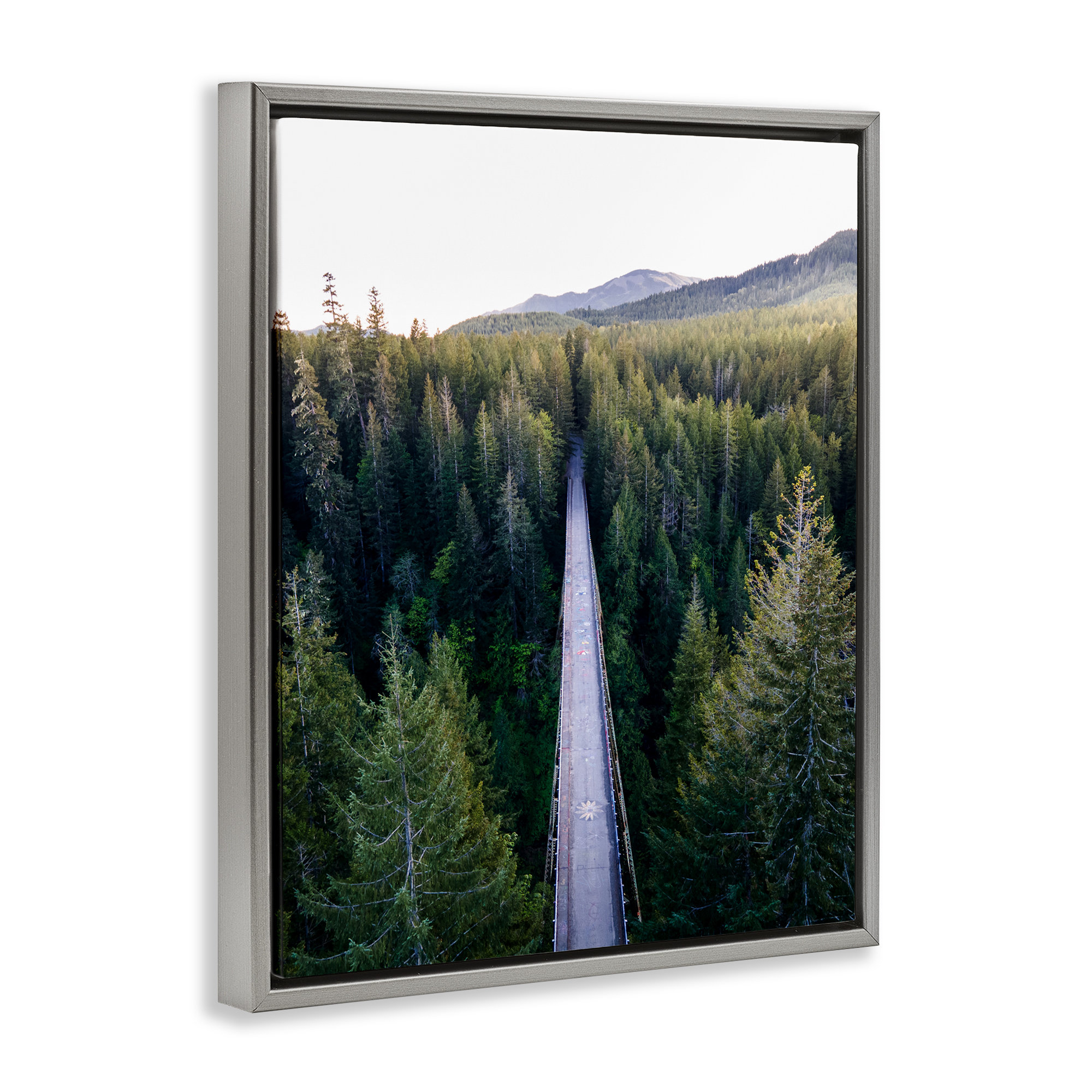 Latitude Run® Bridge Between Pines Floating Frame, design by Jared ...
