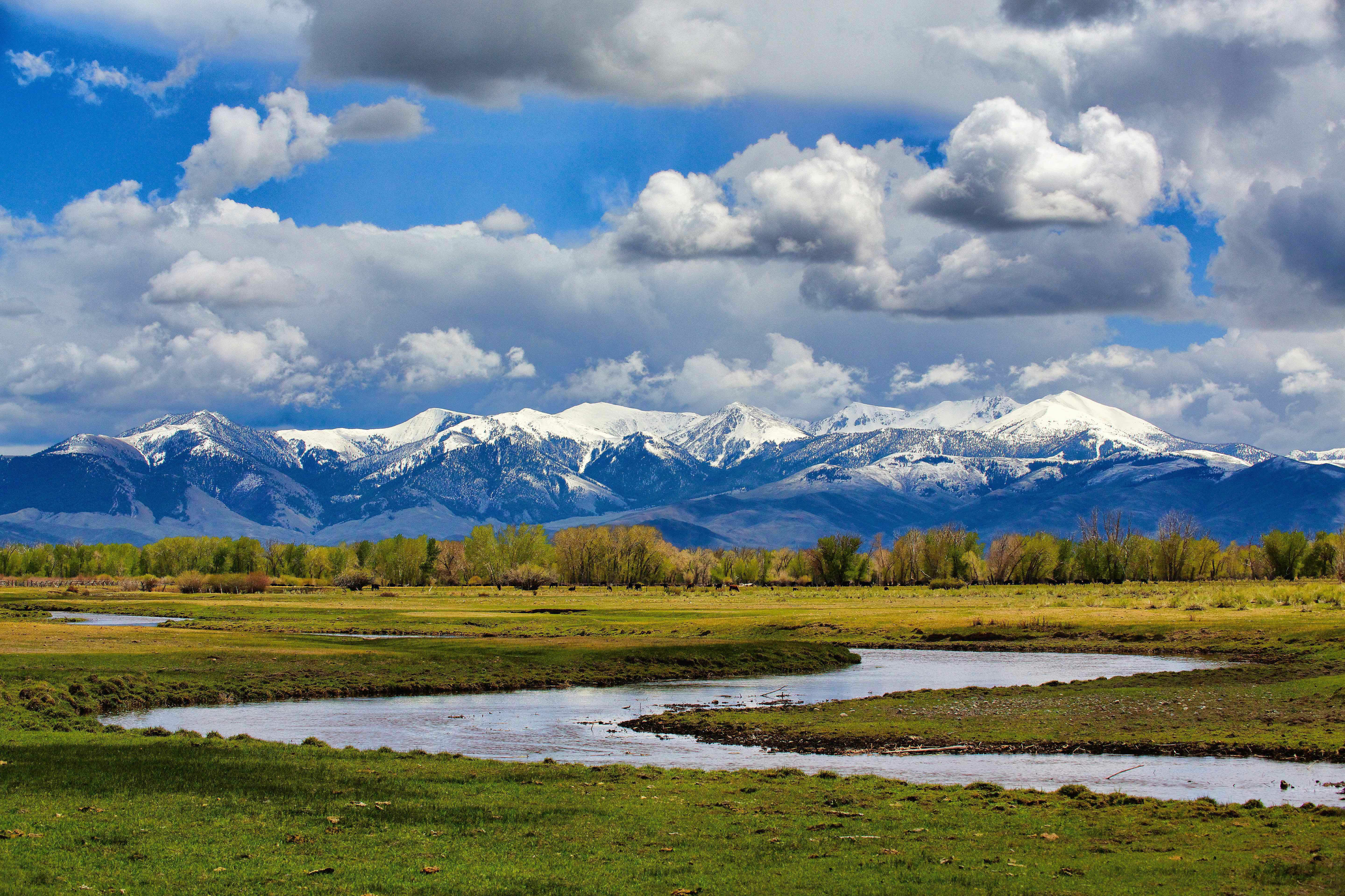 Millwood Pines Daniell Lost River Valley, Idaho by - Wrapped Canvas ...