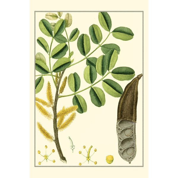 Brambly Cottage Turpin Tropicals VI by Turpin - Art Prints on Canvas ...