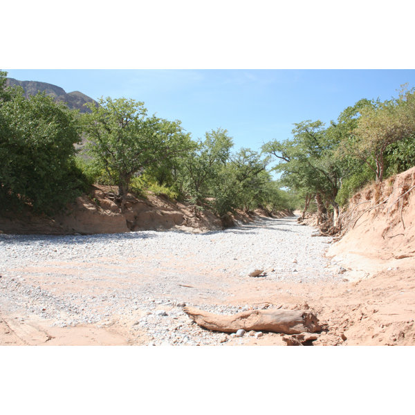 17 Stories Dry Riverbed by Africanway - Wrapped Canvas Print | Wayfair ...
