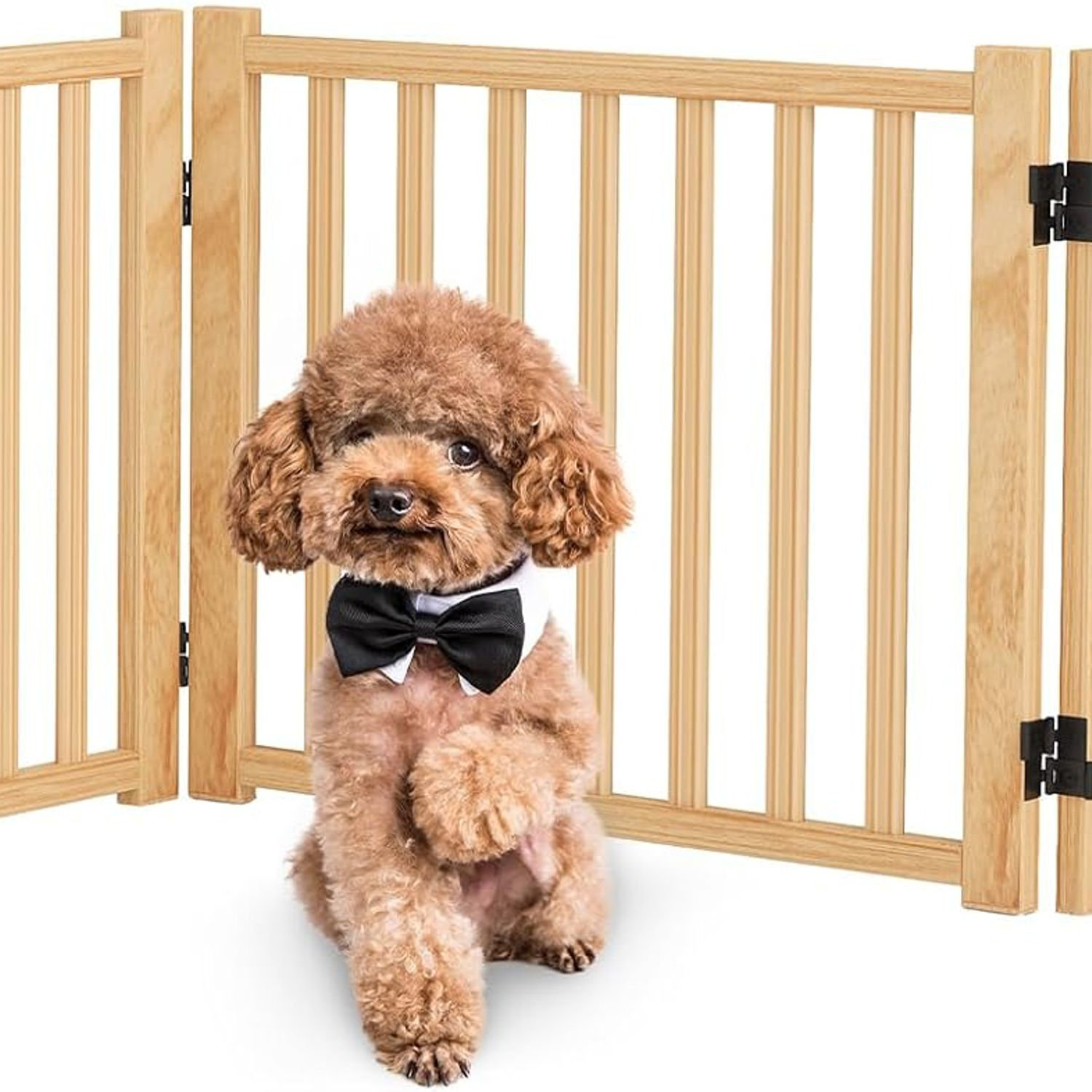 Ophelia & Co. Solid Wood Freestanding Pet Gate,Nature Wood Dog Gates ...