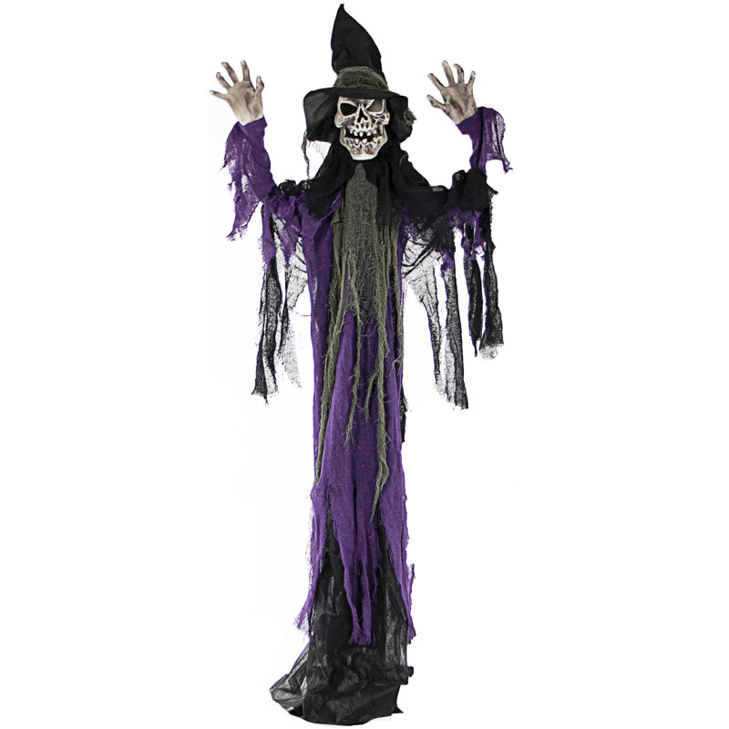 Haunted Hill Farm Life-Size Poseable Skeleton Witch with Multicolor ...
