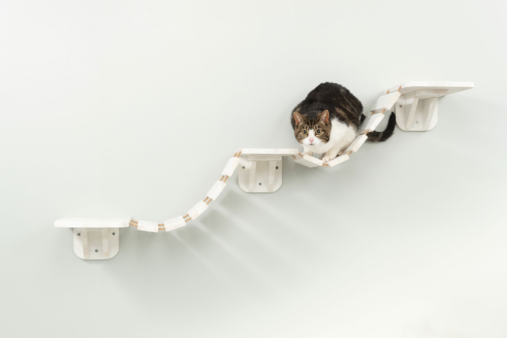 Tucker Murphy Pet™ 6" Scholl Bridge Cat Perch & Reviews | Wayfair