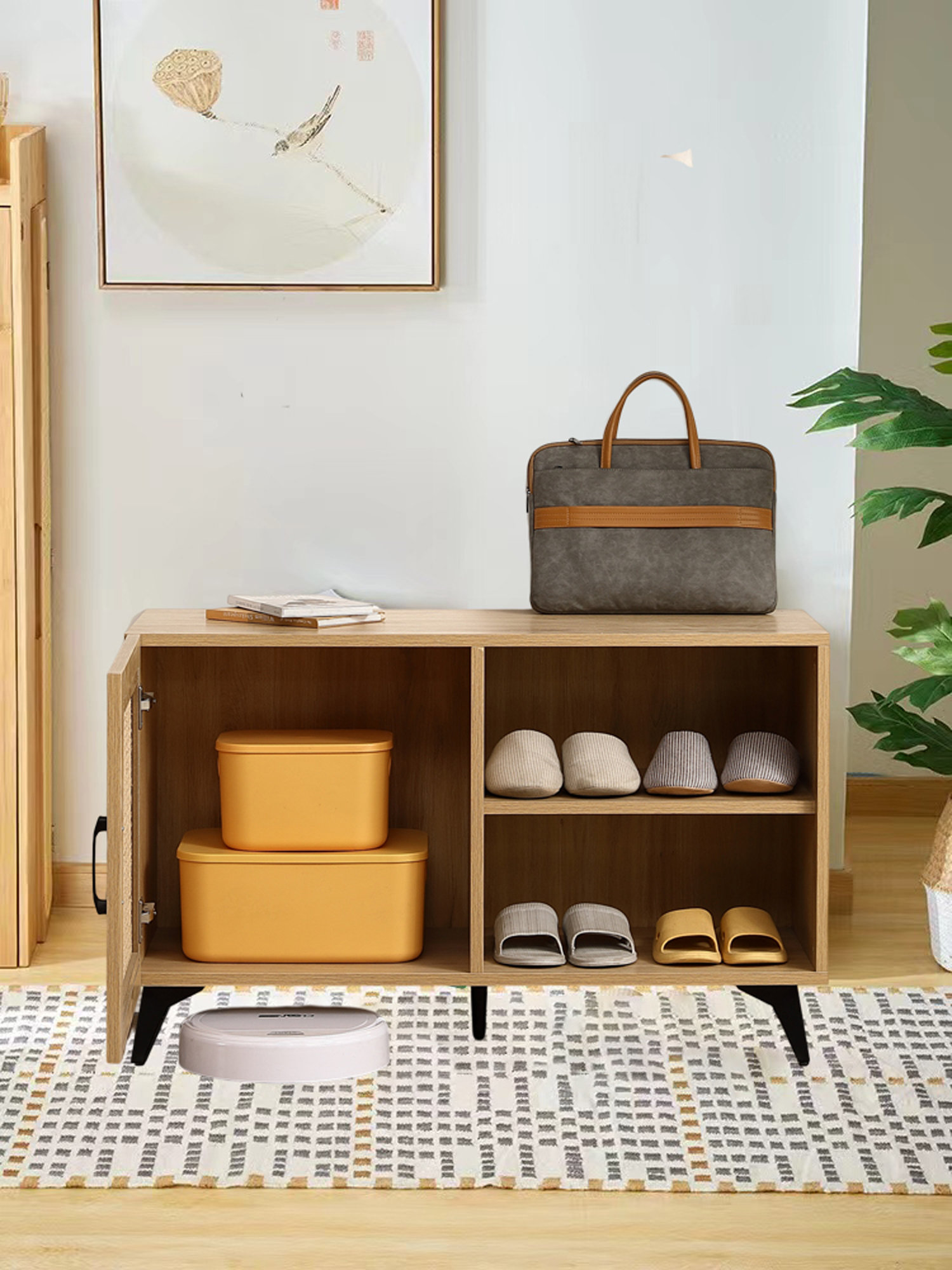 Bayou Breeze Denesia 4 Pair Shoe Storage Cabinet - Wayfair Canada