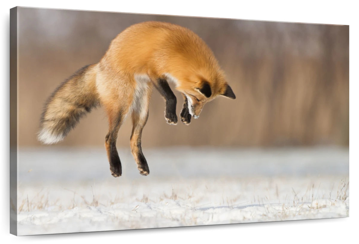 Union Rustic Jumping Red Fox | Wayfair